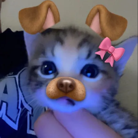 FIFATHAILAND | Official Website | FIFATHAILAND